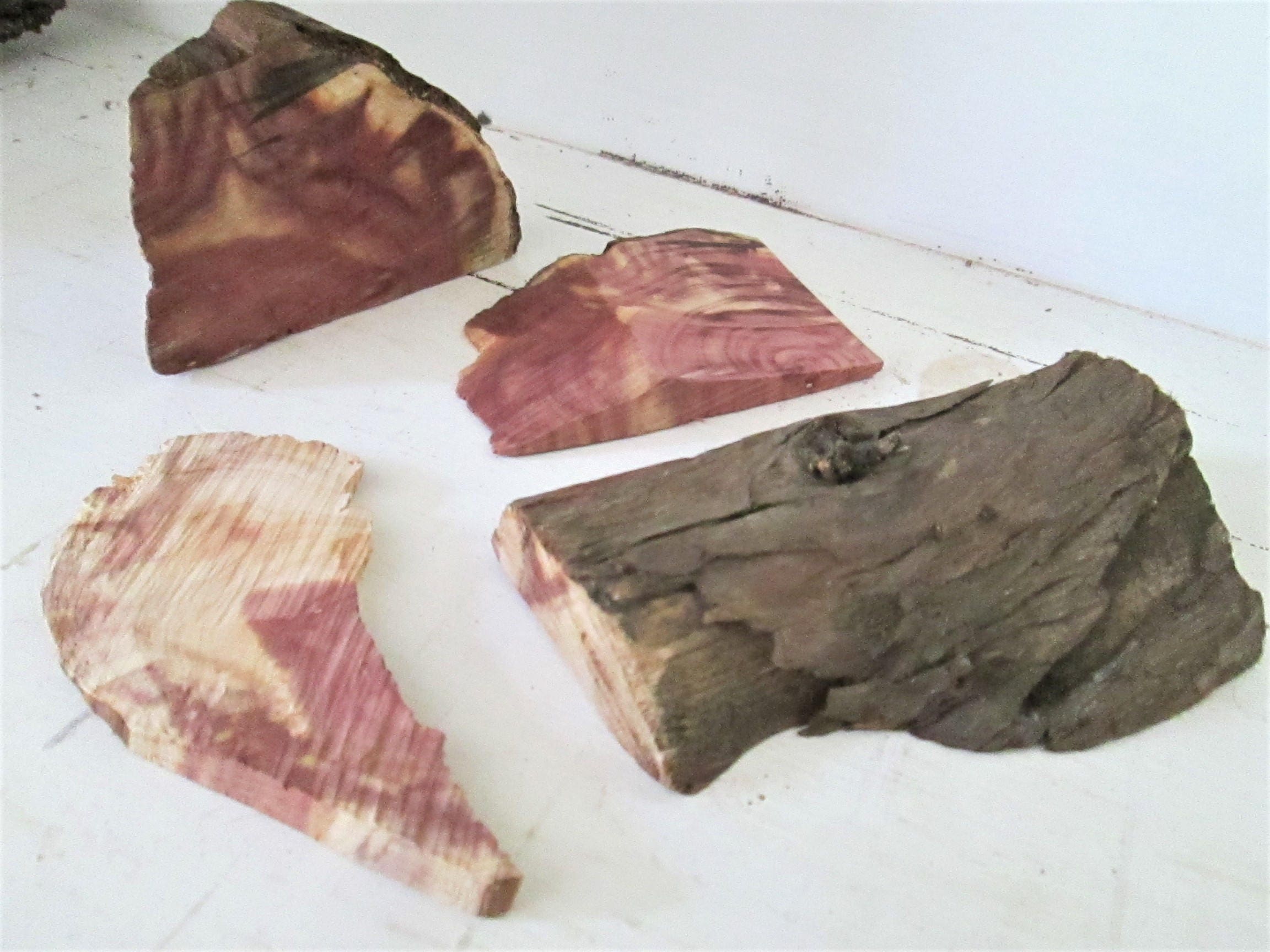 Cedar Art Wood Slices, Assemblage Art Supplies, Nature Art - Etsy