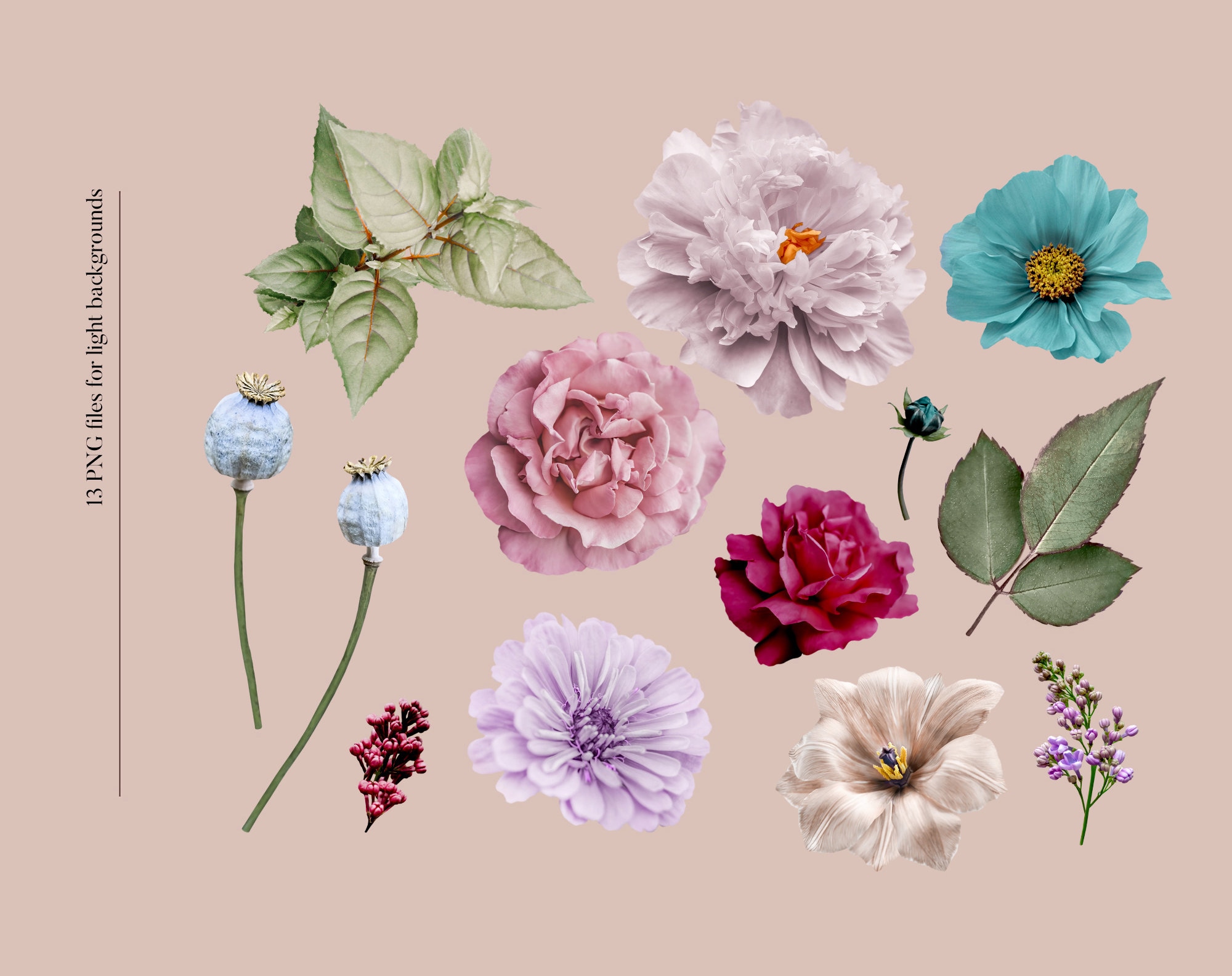 Real Flowers Clipart Set. Isolated PNG Files - Etsy