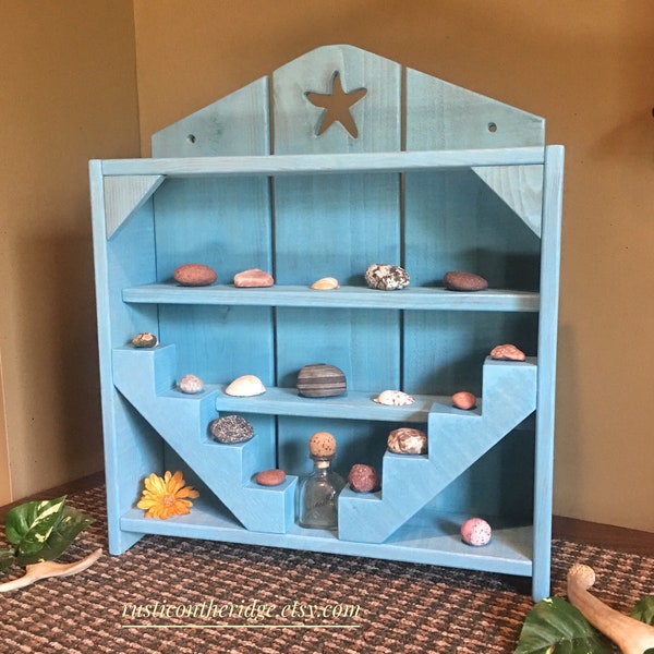Sea Shell Display - Etsy