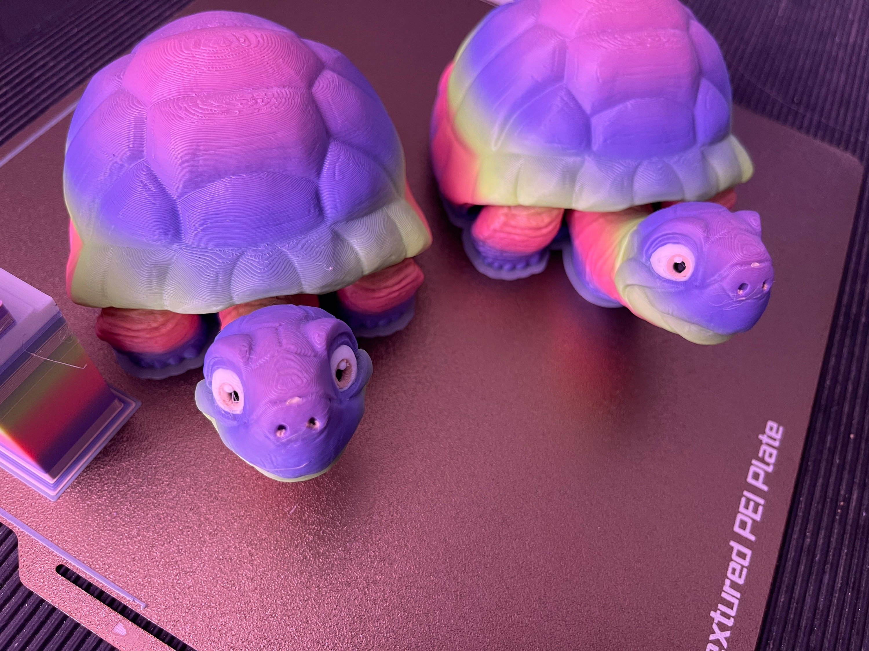 Tortoise Turtle Rainbow Filament Flexy Matmire Makes Large Size 7inch X ...