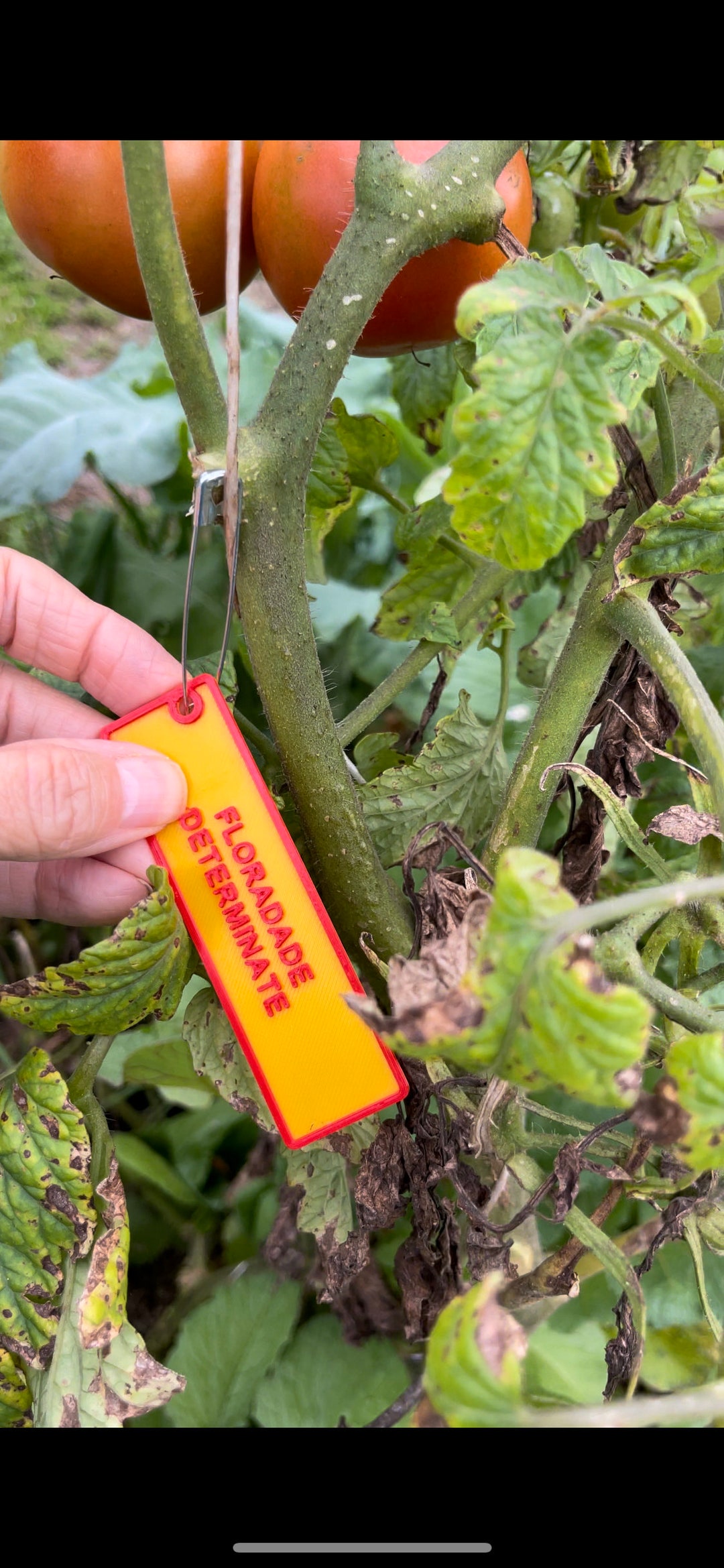 Customizable Garden Plant Label Tag USA Made, 3D Printed, PETG - Etsy