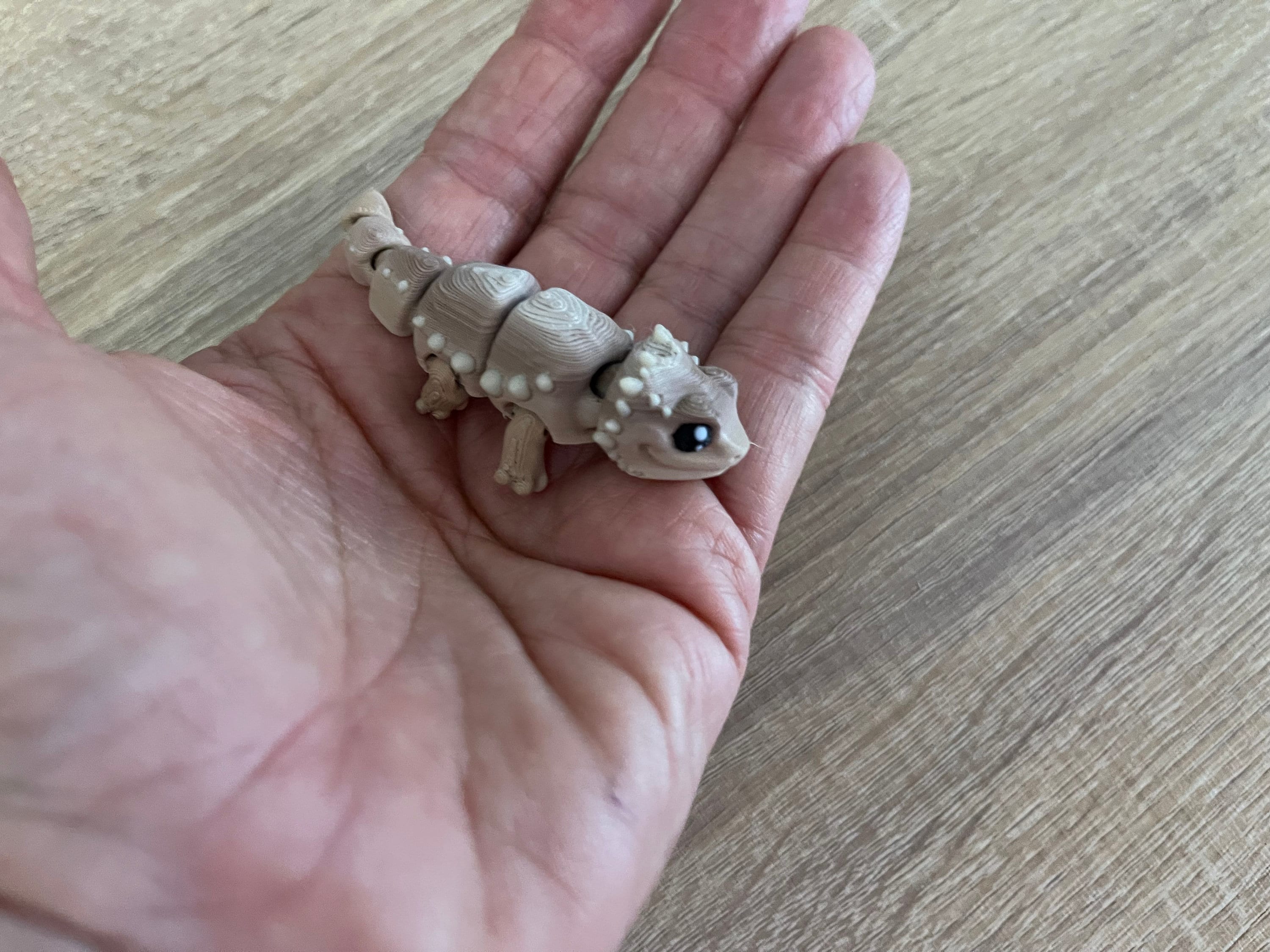 3d Printed Baby Bearded Dragon Articulated Fidgets Flexi Figure, Tiny ...
