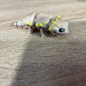 3d Printed Baby Bearded Dragon Articulated Fidgets Flexi Figure, Tiny ...