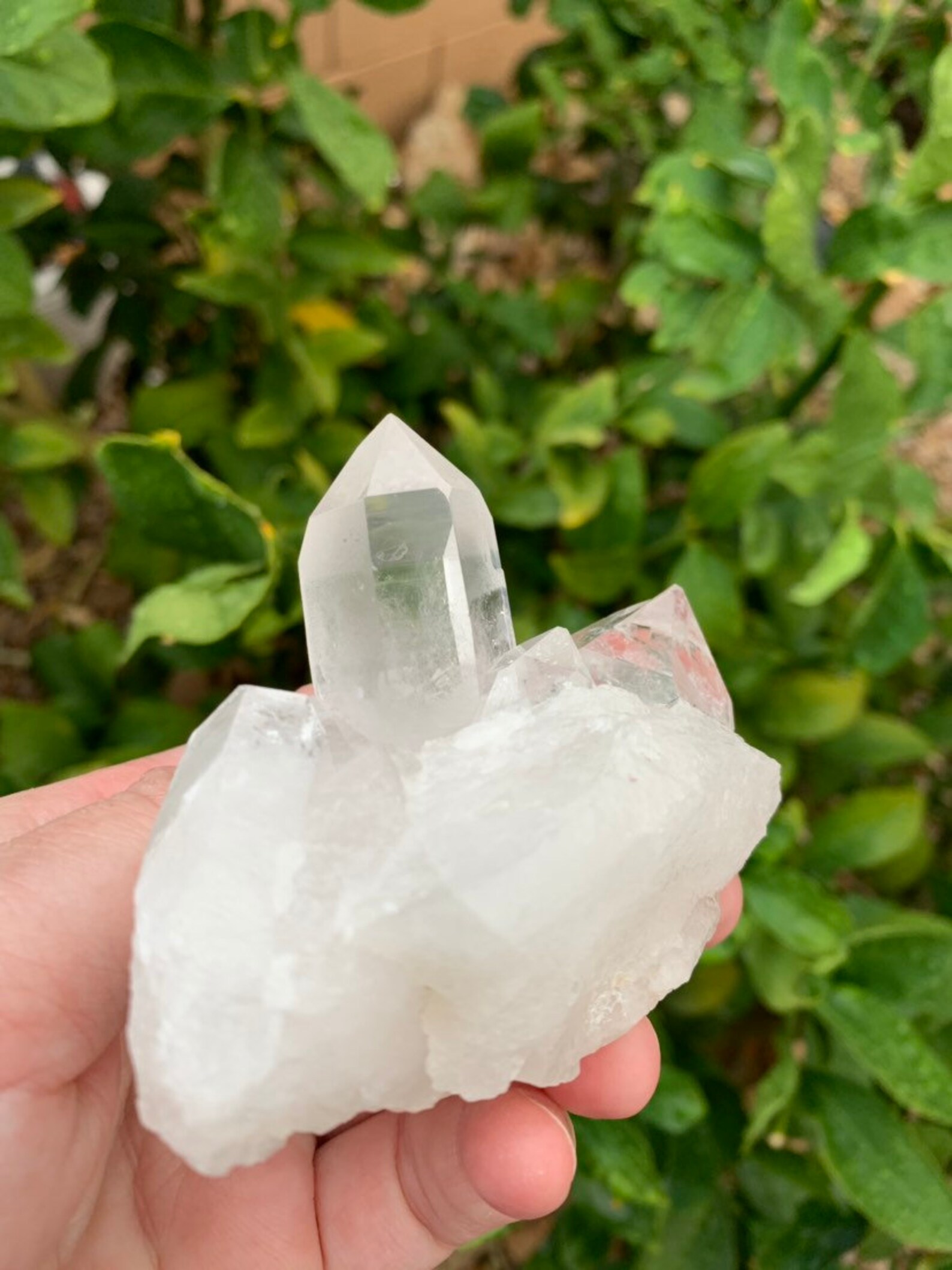 Clear Quartz Cluster /harmony / Peace / Reduces Anxiety/ | Etsy