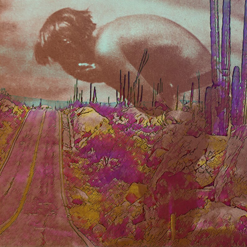 Limited Edition Art Prints - Etsy