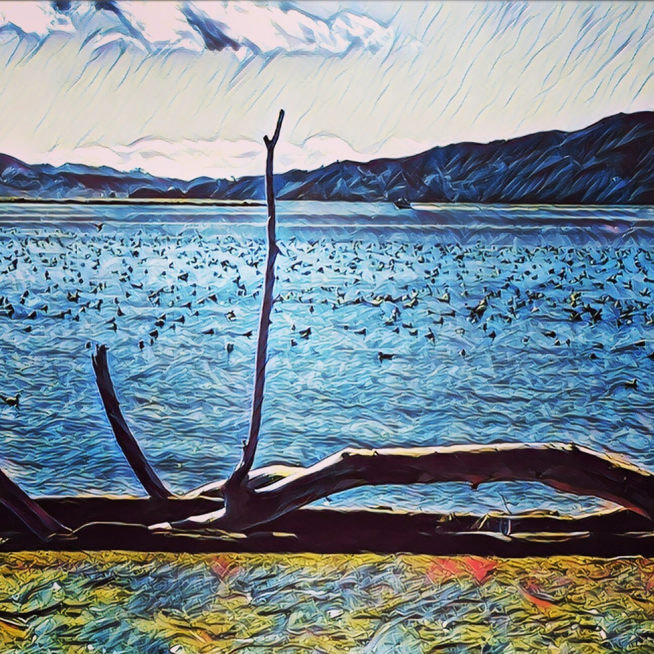 Limited Edition Art Prints - Etsy