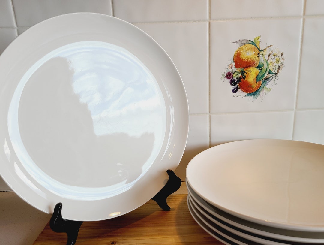 Franciscan Whitestone Cloud Nine Set of 2 Dinner Plates 10.25 Plain ...