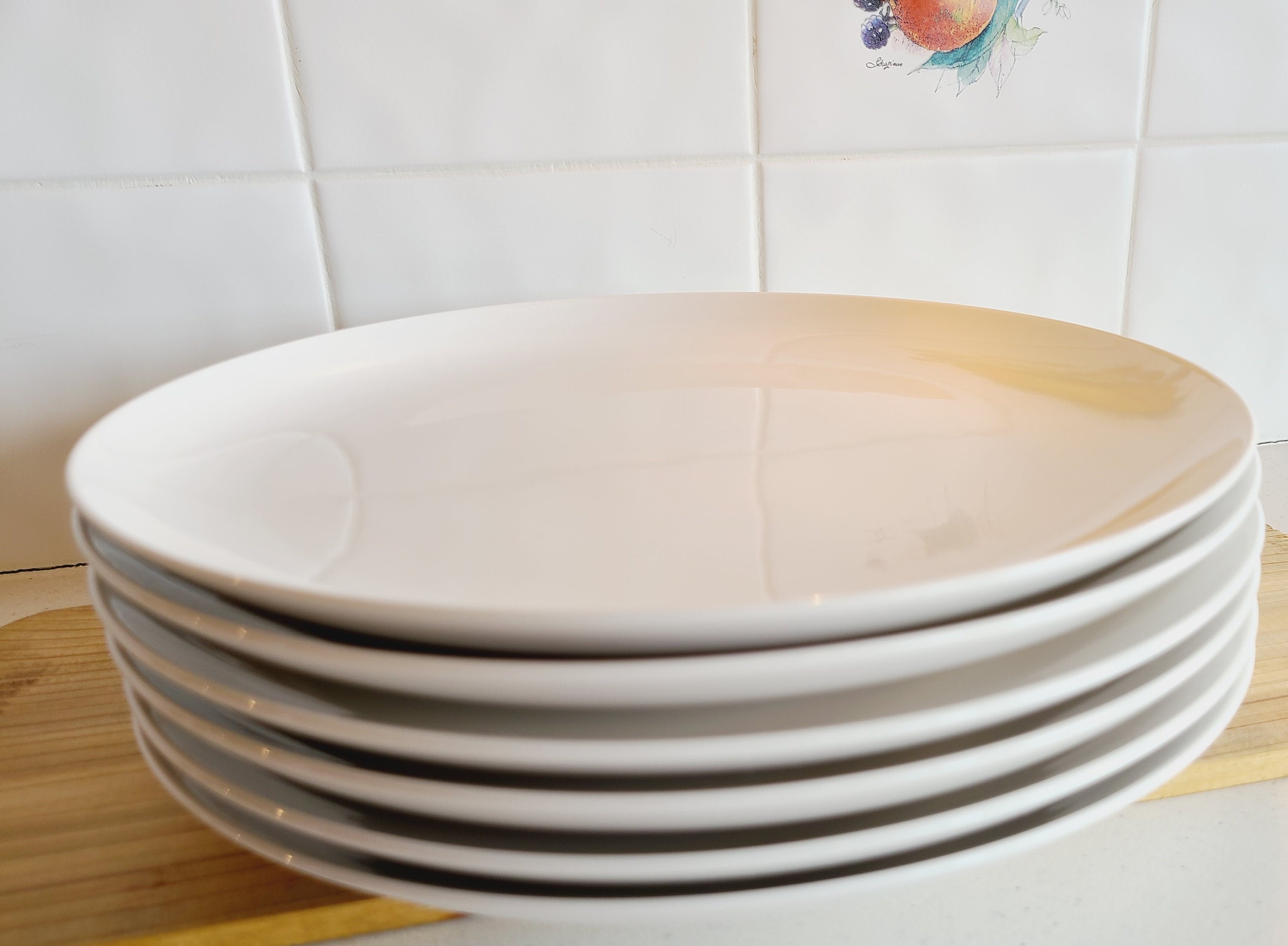 Franciscan Whitestone Cloud Nine Set of 2 Dinner Plates - Etsy