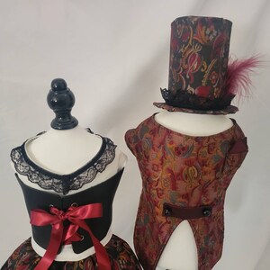 Steampunk Dog Costume cute Dog Clothes halloween victorian - Etsy