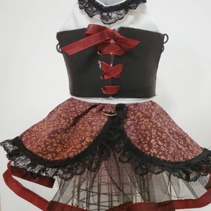 Steampunk Dog Costume cute Dog Clothes halloween victorian - Etsy