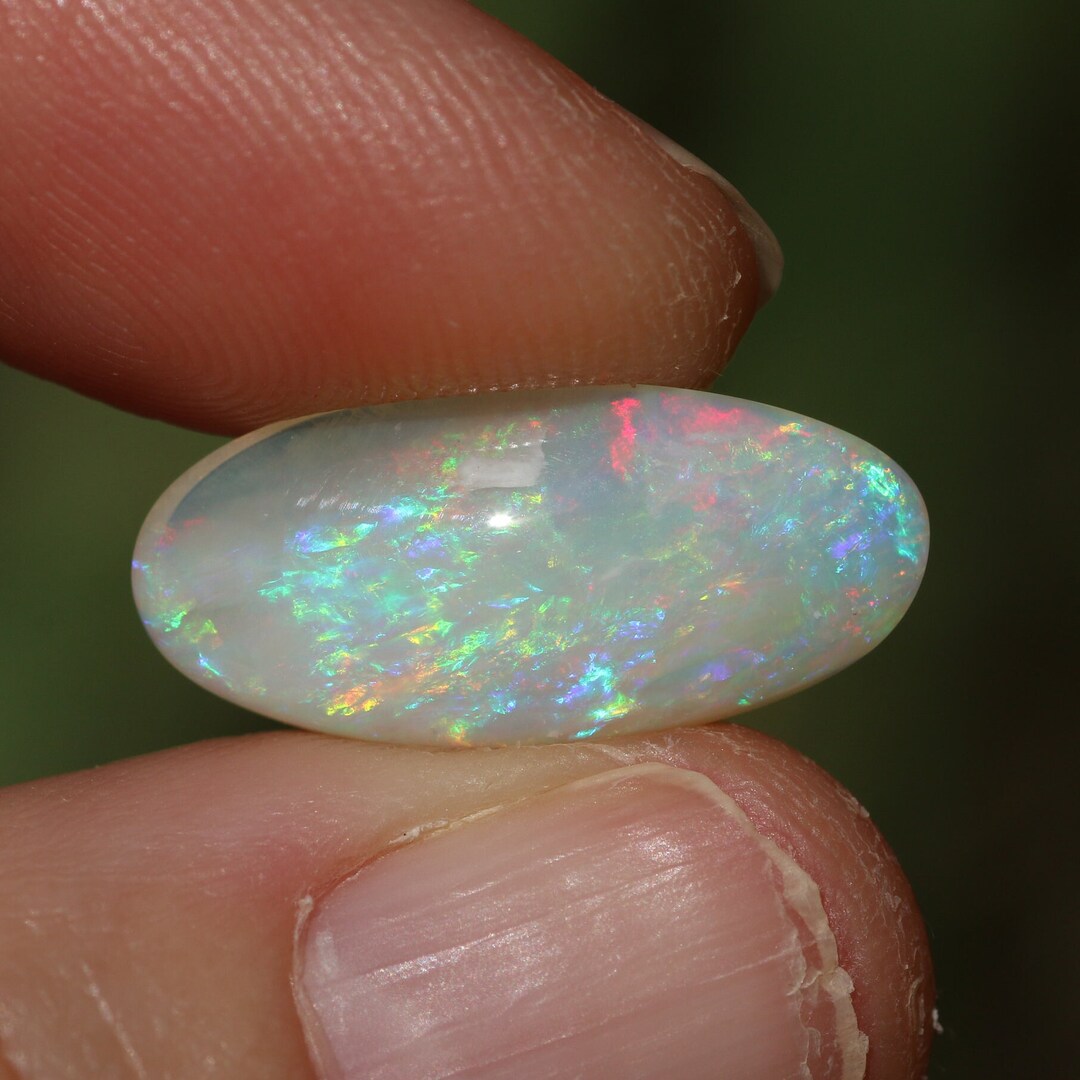 Gorgeous Rainbow Colour 4.1ct Freeform Natural Opalised Shell From ...