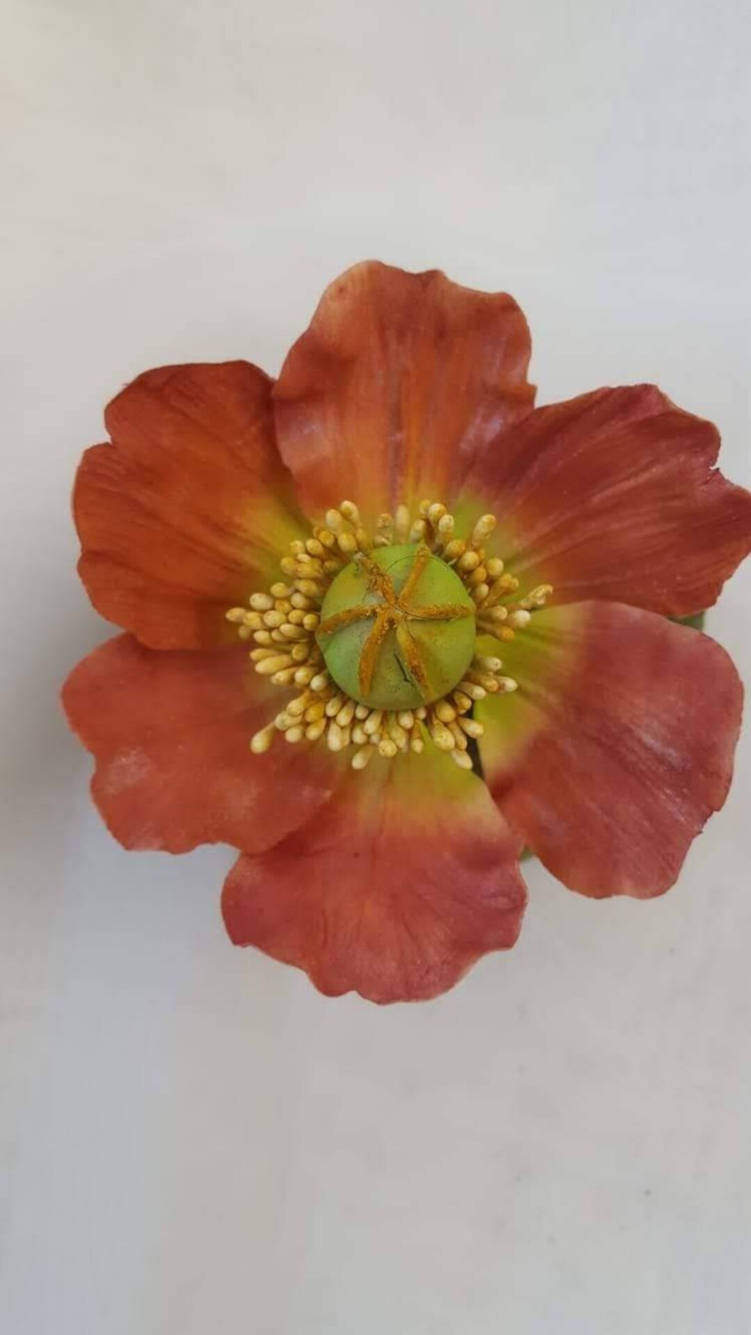 Iceland Poppy Flower Cake Topper, Fondant, Custom, Party, Edible, Decor ...