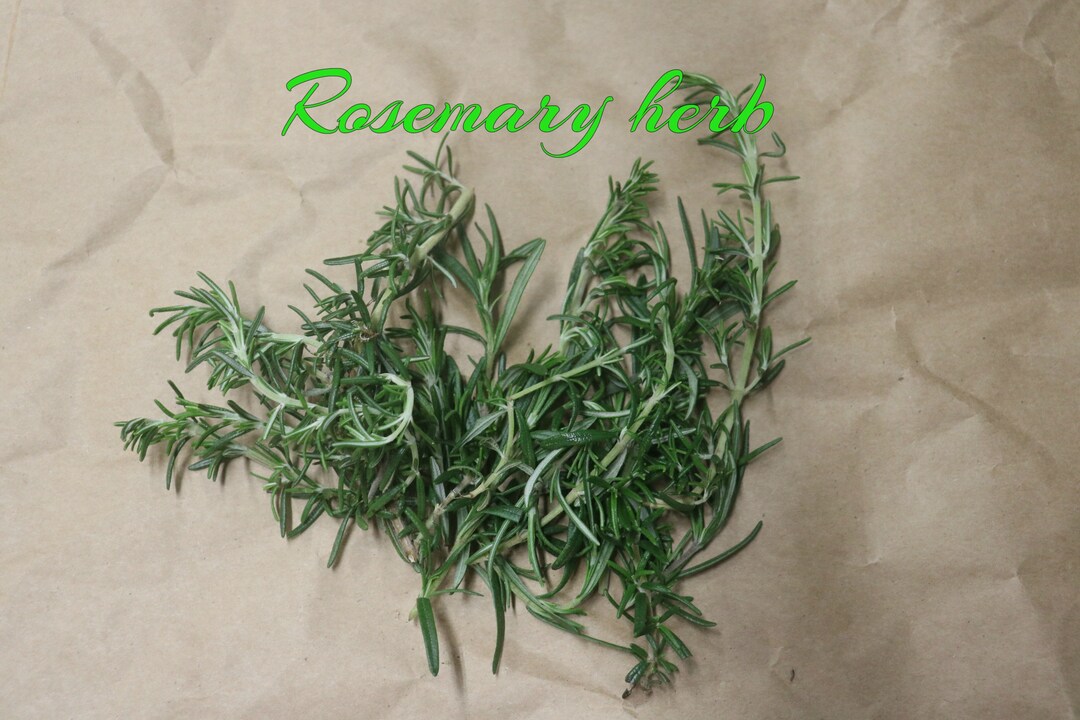 25 FRESH Rosemary Clippings , Sprigs , Cuttings - Fresh Herbs - Salvia ...