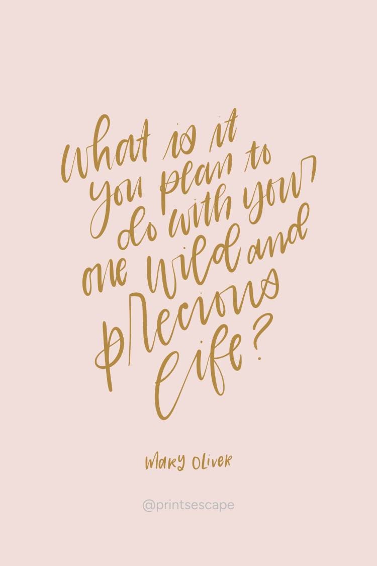 One Wild and Precious Life Printable Mary Oliver Quote Hand-lettered ...