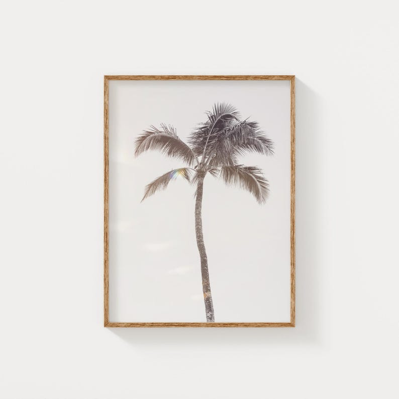 Neutral Palm Tree Print Set: Boho Coastal Wall Art (digital Download ...
