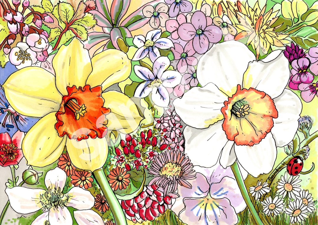 Limited Edition Print of a Pen and Ink Drawing of Spring Flowers - With ...