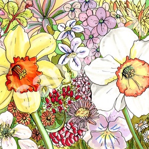 Limited Edition Print of a Pen and Ink Drawing of Spring Flowers - With ...