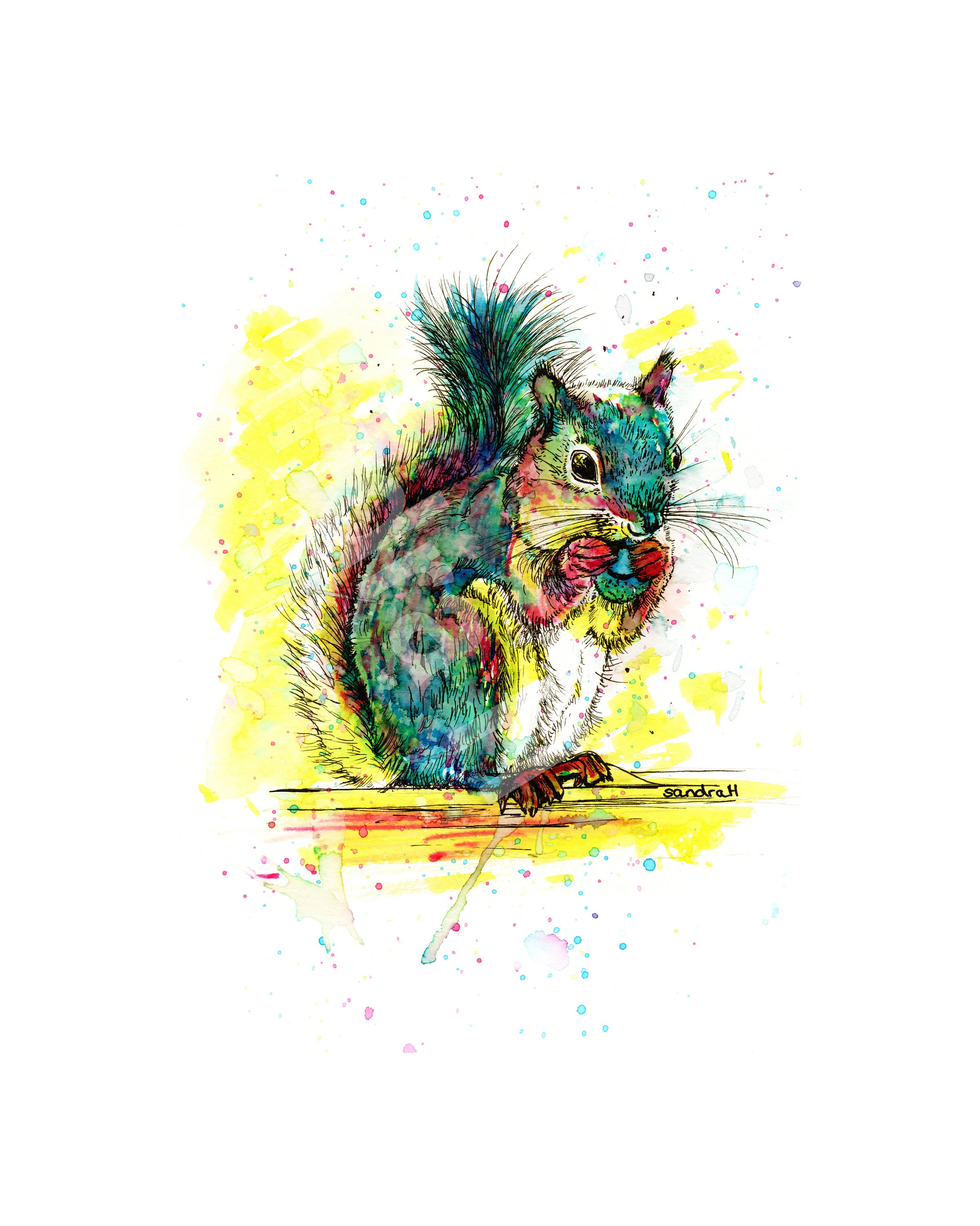 Limited Edition Print of a Pen and Ink Drawing of a Squirrel With Frame ...