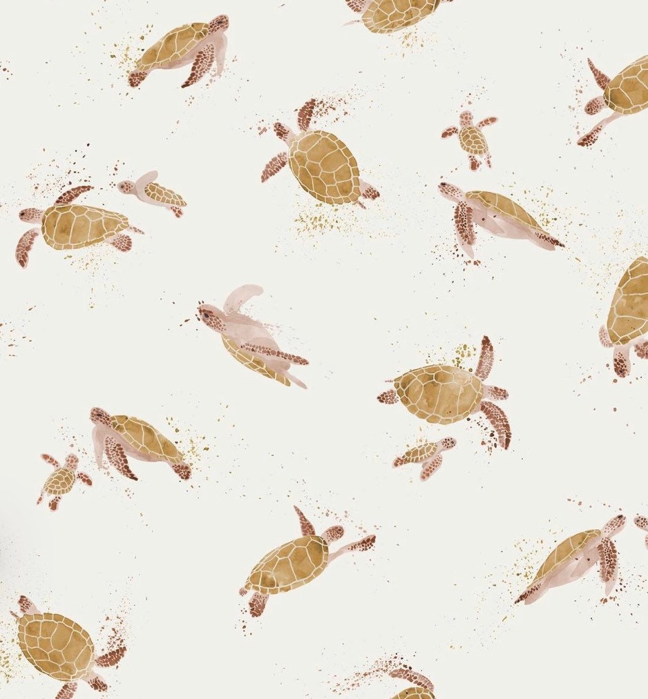 Sheldon The Turtle Wallpaper