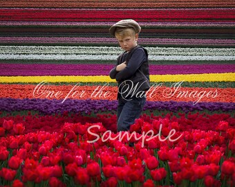 Flower Field Digital Background Spring Flower Field Digital Backdrop ...