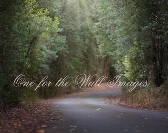 Digital Backdrop/background Old Country Dirt Road Path Field Instant ...