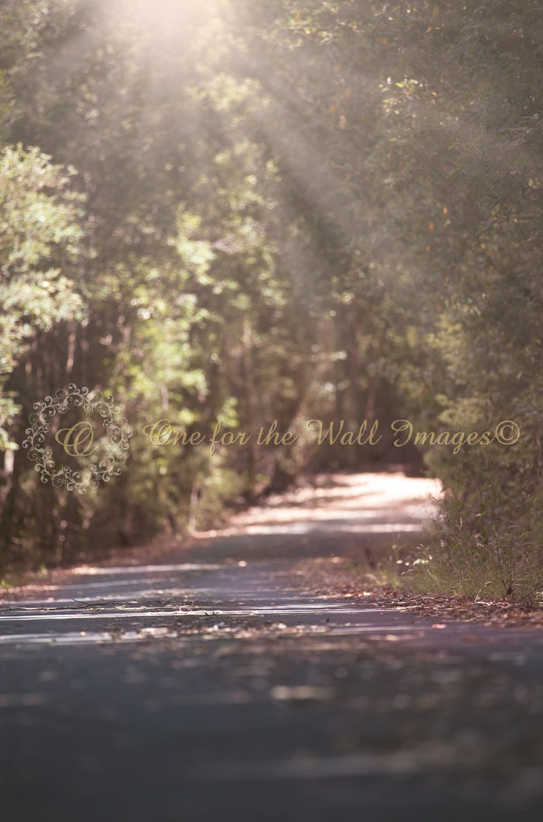 Country Road, Digital Backdrop, Background, Stock, Composite - Etsy