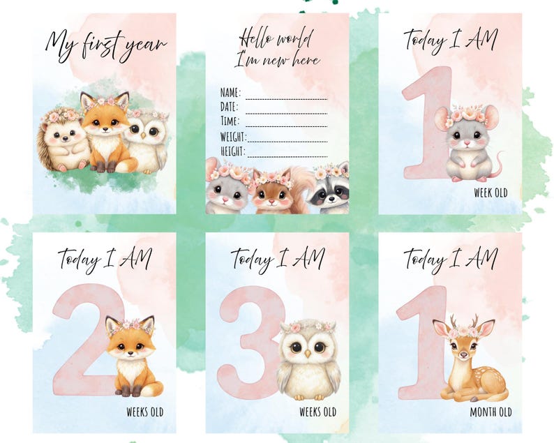Milestone Cards, Forest Animals, Baby Girl, Boho Animals, Watercolor ...