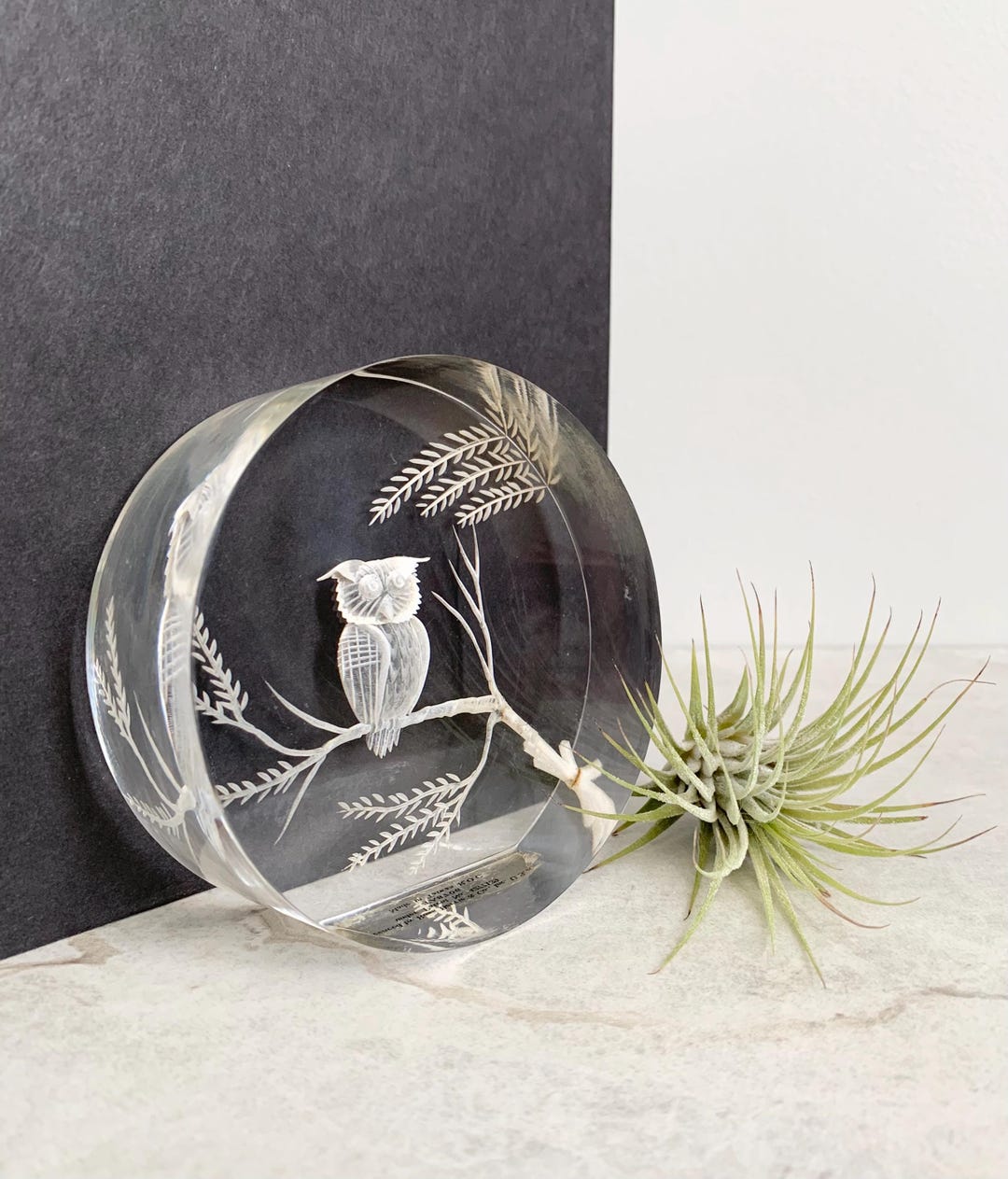 Vintage Lucite Owl Paperweight: Rustic Bookend Figurine - Etsy