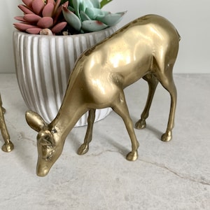 Vintage Brass Deer, Fawn Reindeer Doe Statues, Buck, Christmas Decor ...