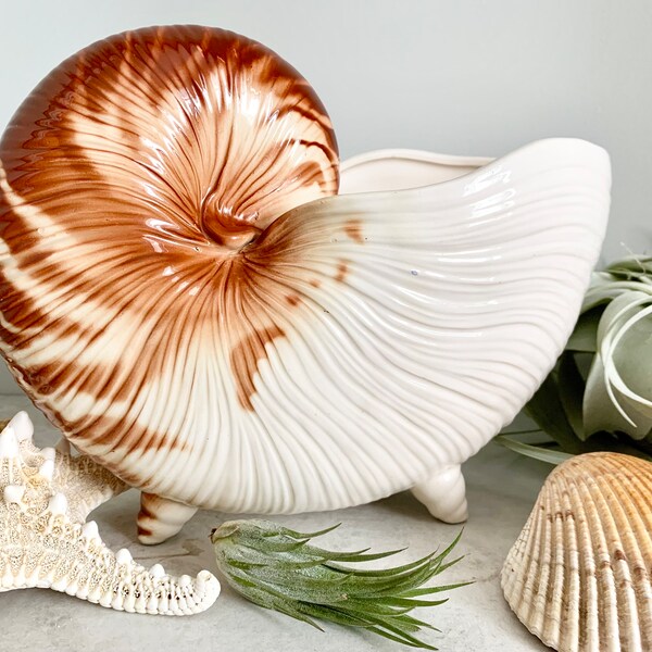 Fitz Floyd Seashell - Etsy