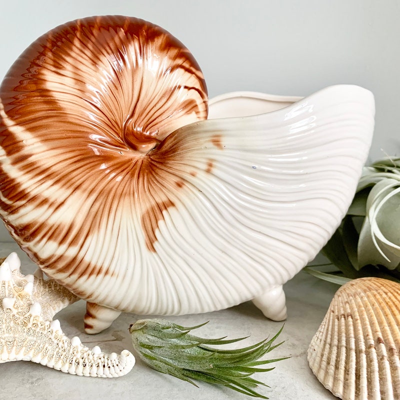 Shell Planter - Etsy