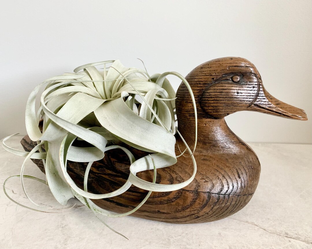 Vintage Duck Planter, Rustic Modern Farmhouse Mallard Bird Decor ...