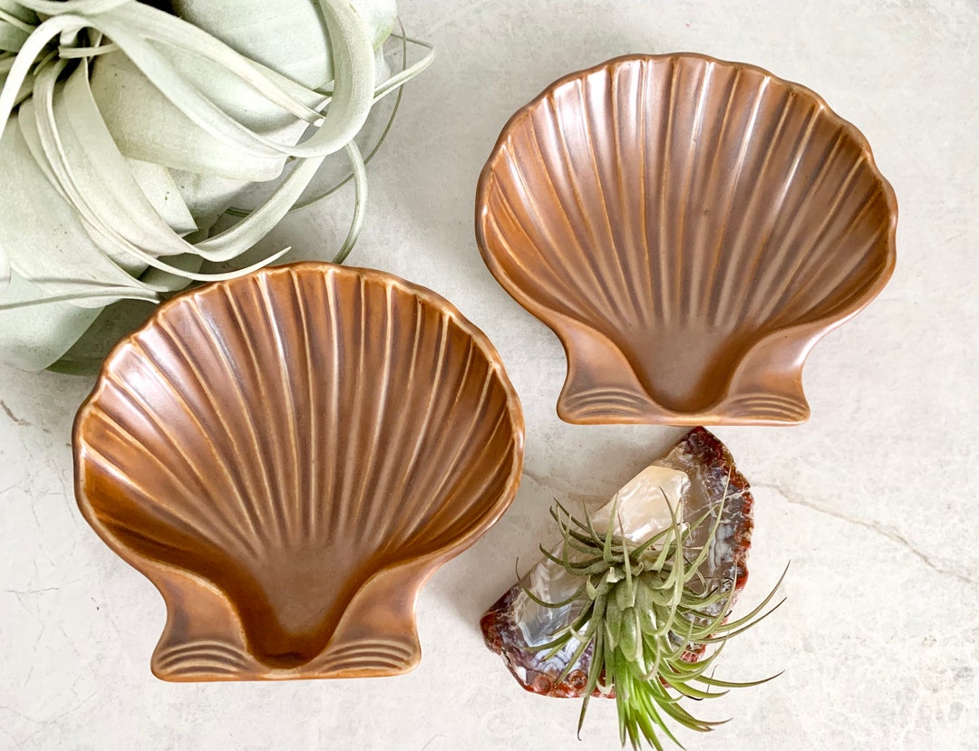 Vintage Hall Clam Shells, Soap Dish, Air Plant Displays, Coastal Home ...