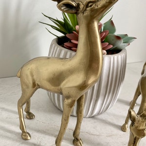 Vintage Brass Deer, Fawn Reindeer Doe Statues, Buck, Christmas Decor ...