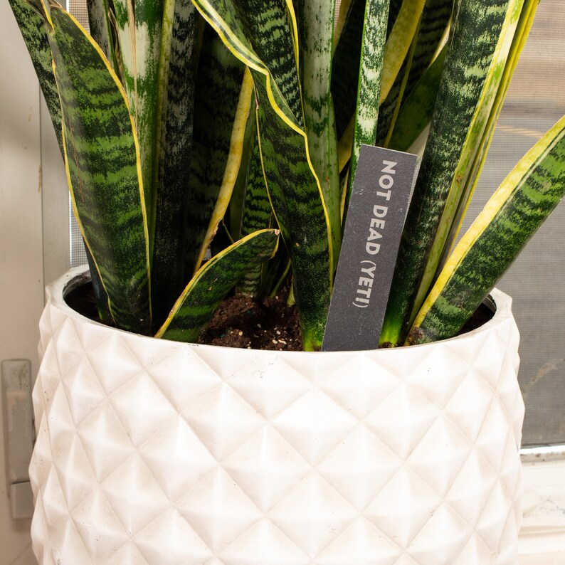 Personalized Custom Text Plant Tags Slate Planter Stakes | Etsy