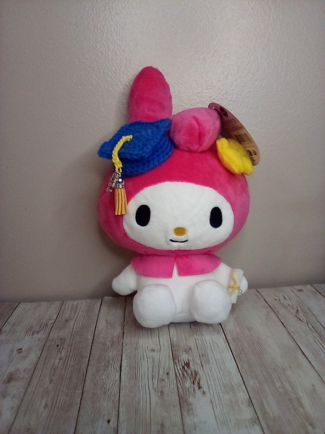 LAST ONE 2024 My Melody Graduate With Royal Blue Cap and Diploma Plush ...