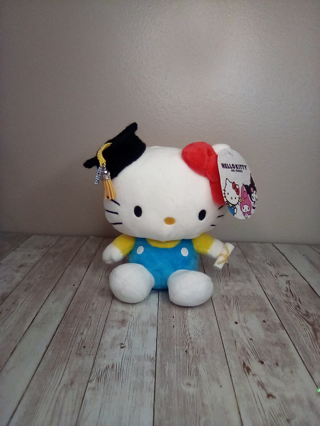 2025 Hello Kitty Graduate With Black Cap and Diploma Plush Crochet ...