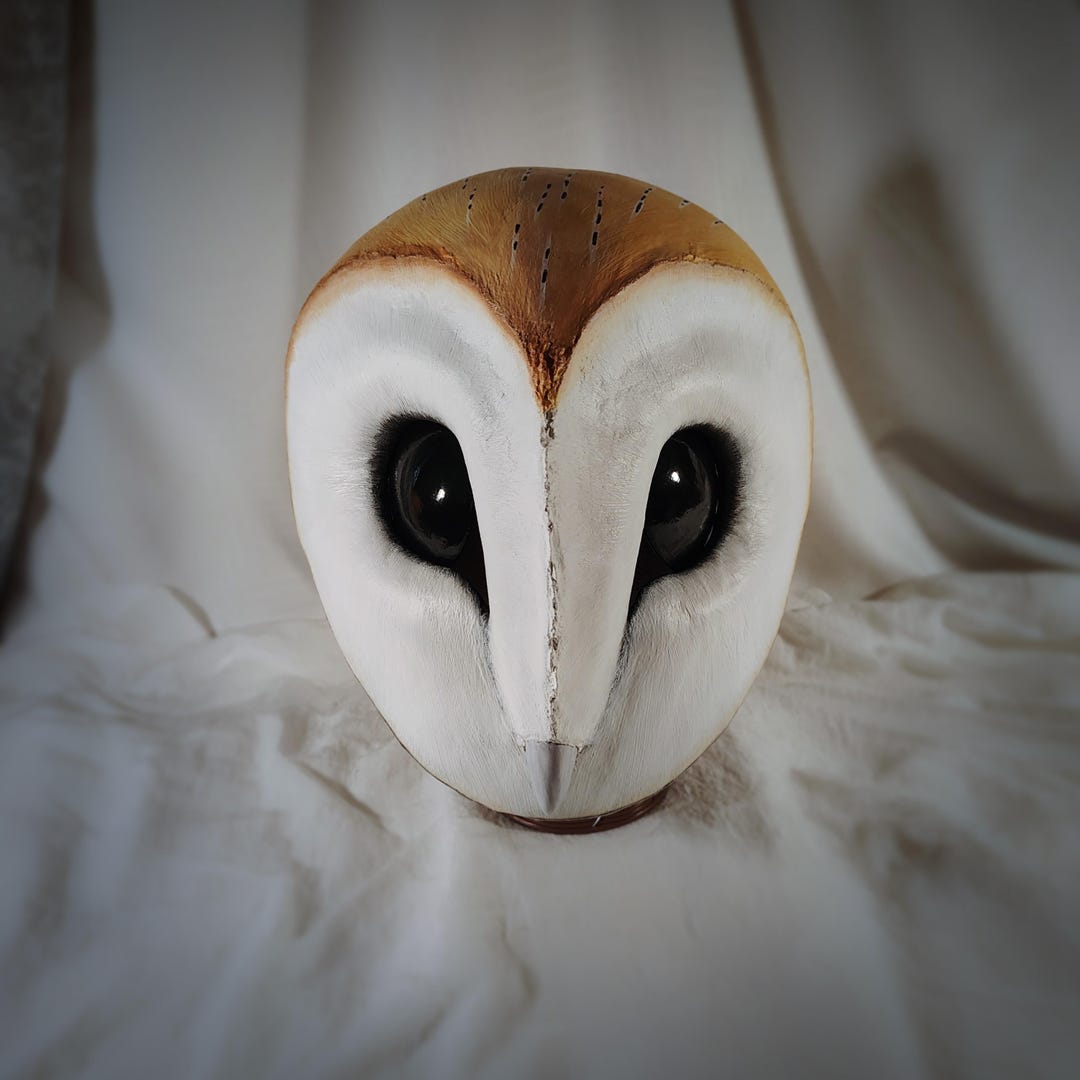 Realistic Barn Owl Paper Mache Mask, Adult Sized - Etsy