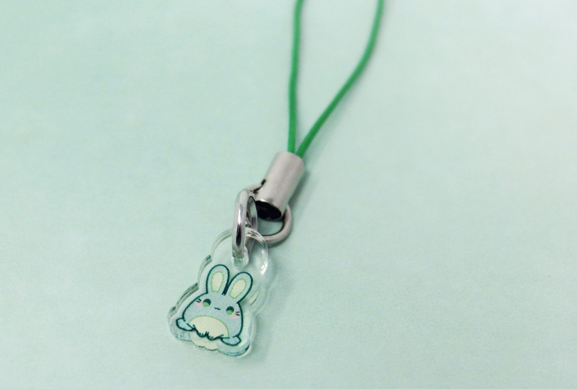 Frog Bunny Phone Charm 0.5 2-sided Clear Acrylic Keychain - Etsy
