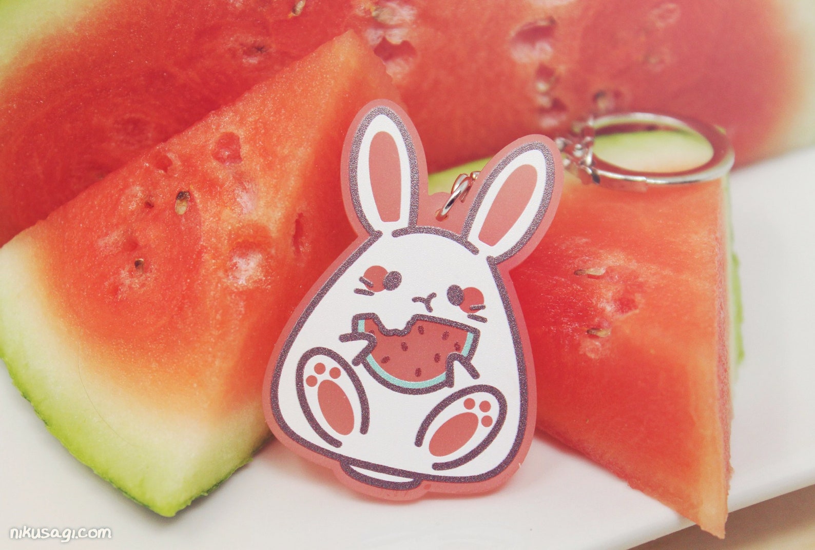 Watermelon Muncher Keychain 2 Frosted Pink Acrylic Charm - Etsy