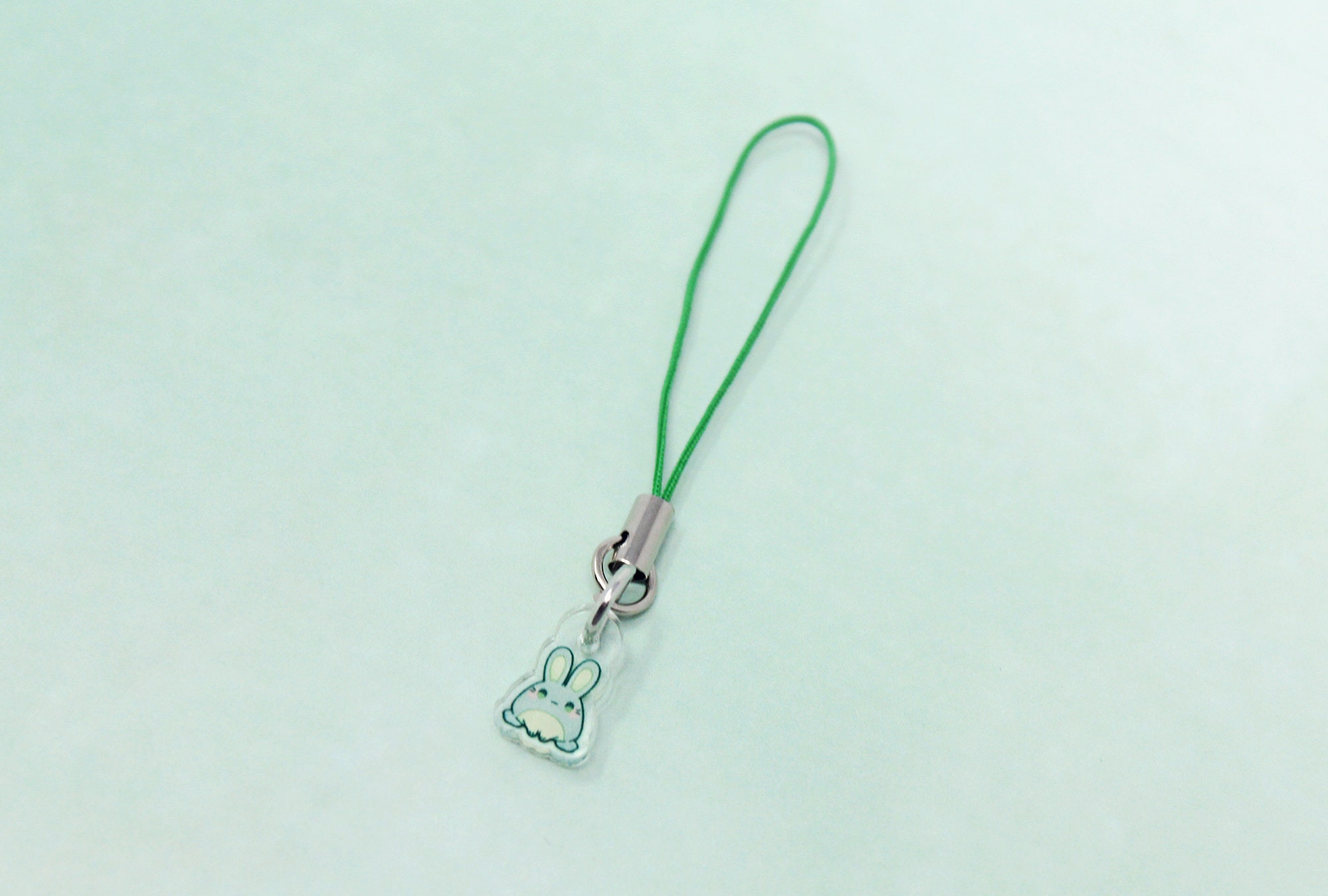 Frog Bunny Phone Charm 0.5 2-sided Clear Acrylic Keychain - Etsy