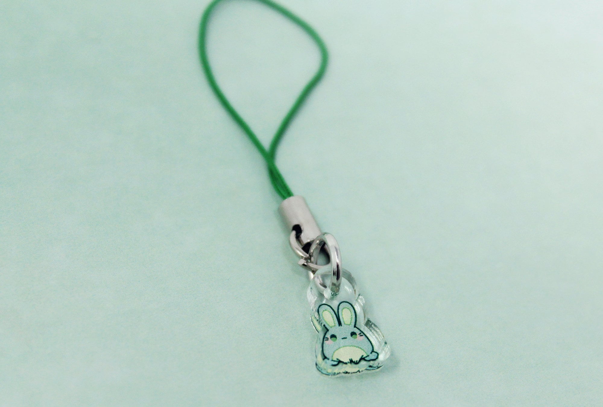 Frog Bunny Phone Charm 0.5 2-sided Clear Acrylic Keychain - Etsy