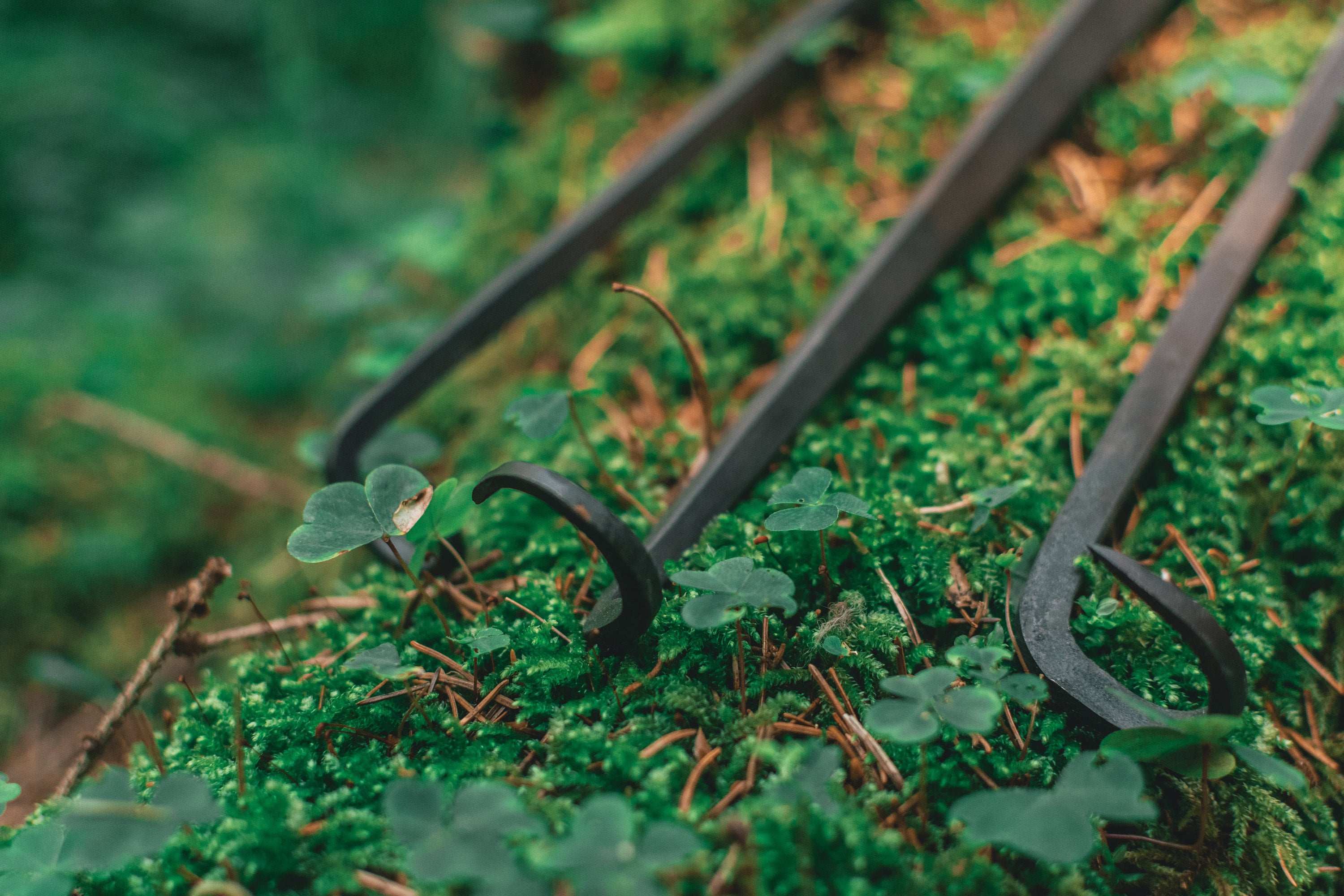 Steak Turner Steak Flipper BBQ Tool Grill Tool Handforged. - Etsy