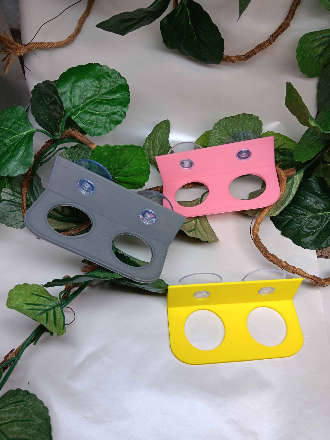 Suction Cup Feeding Feeder Ledge for Reptiles Lizards Amphibians ...