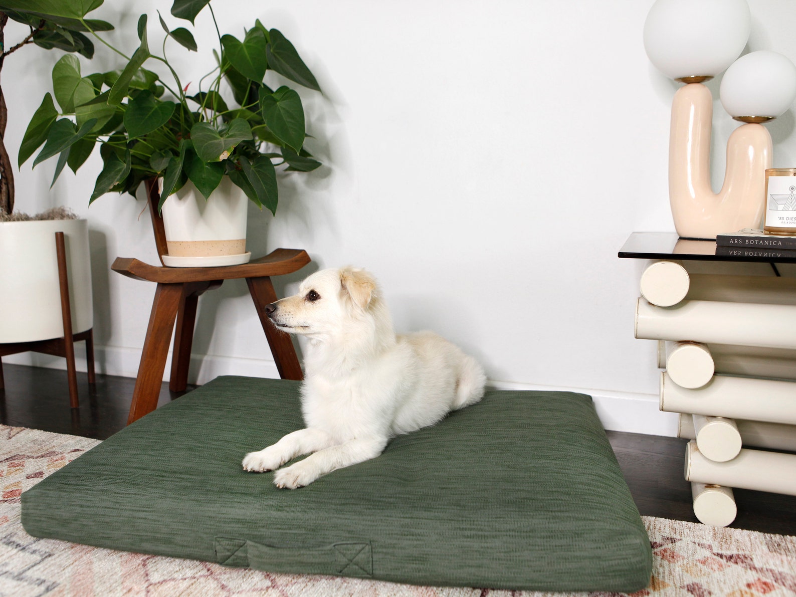Minimalist Modern Dog Bed, Washable Orthopedic Mattress, Brown and ...