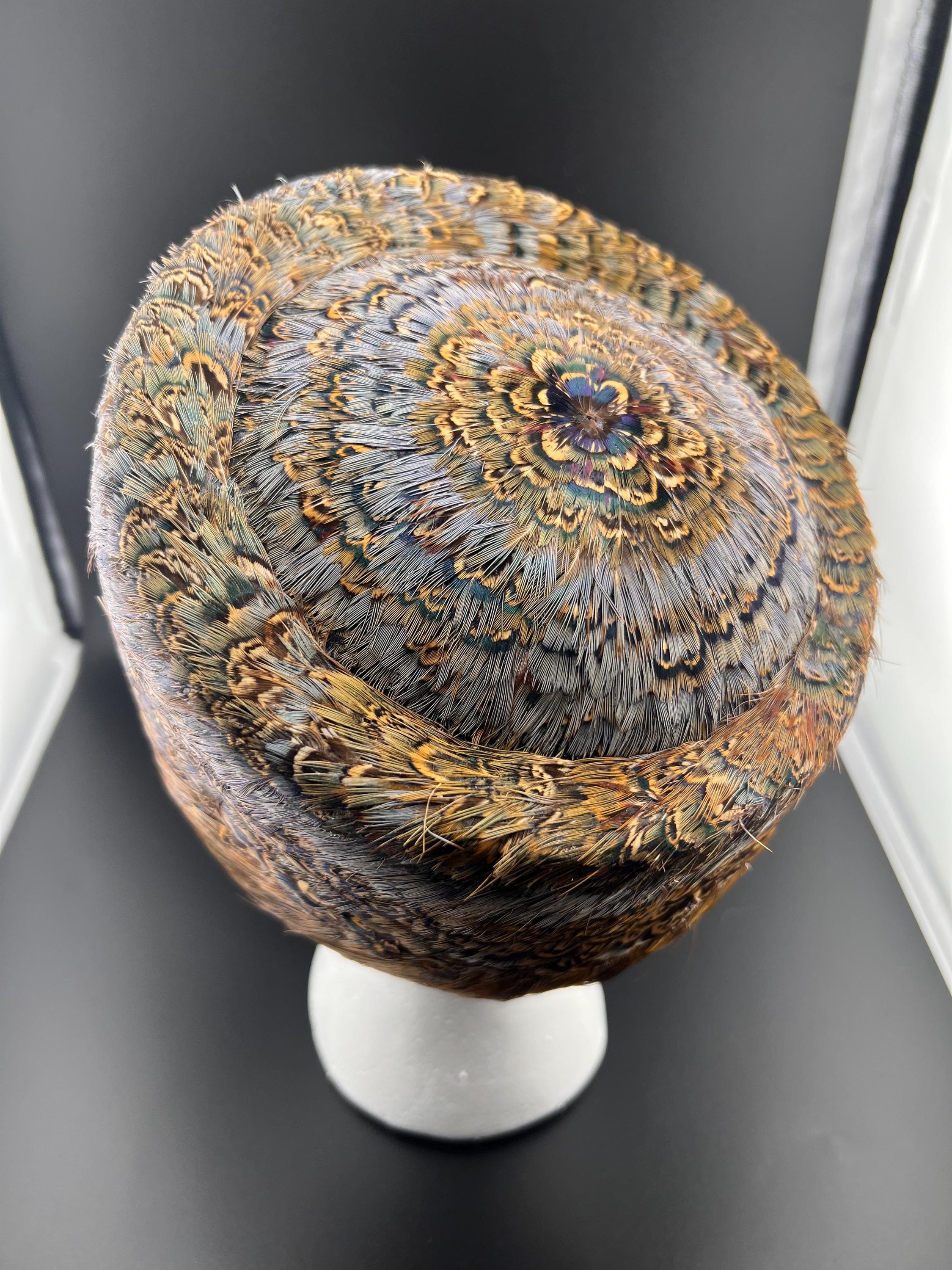 Vintage Pheasant Feather Pillbox Hat - a Timeless Treasure - Etsy
