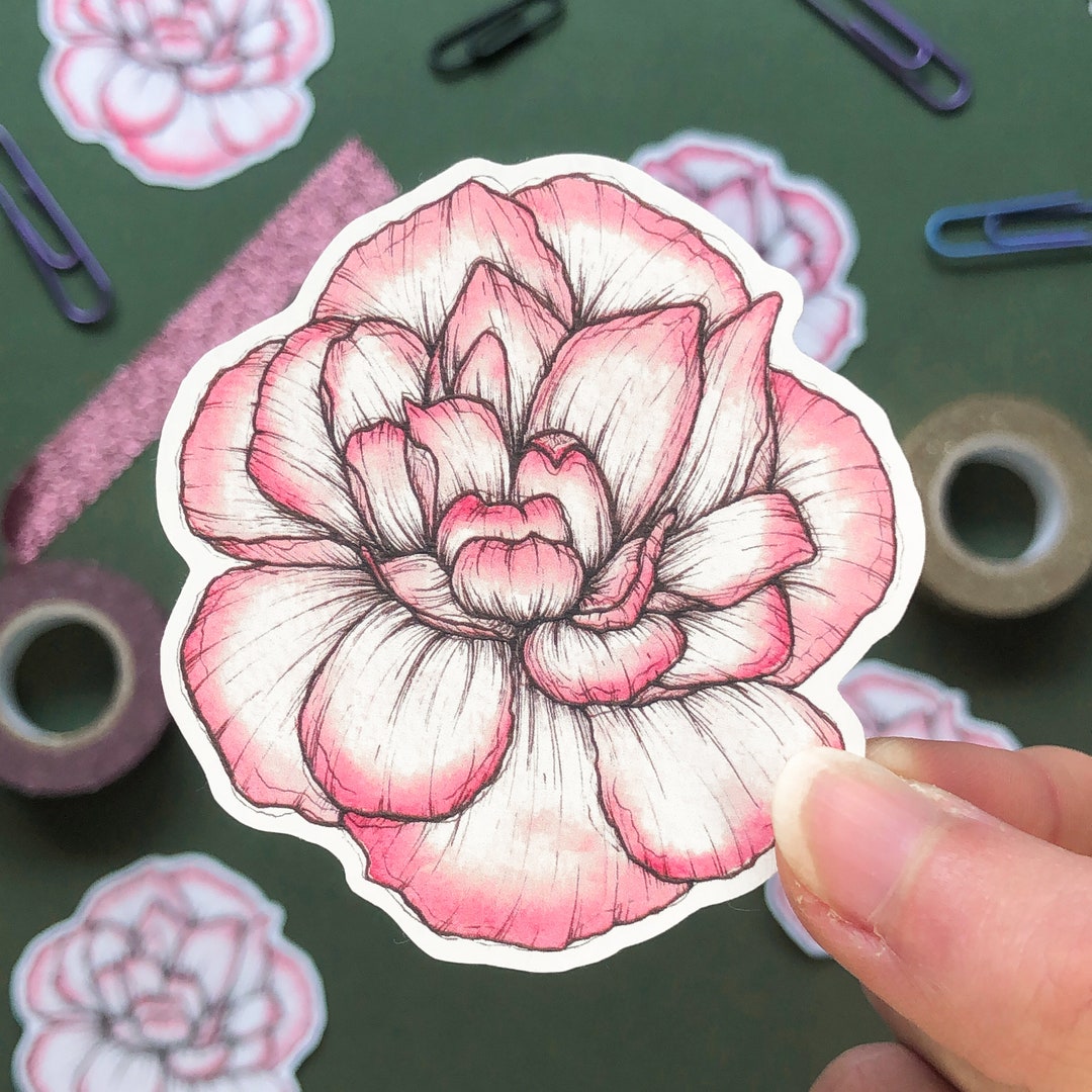 Carnation Flower Sticker Eco Friendly Matte Vinyl Glossy Botanical ...