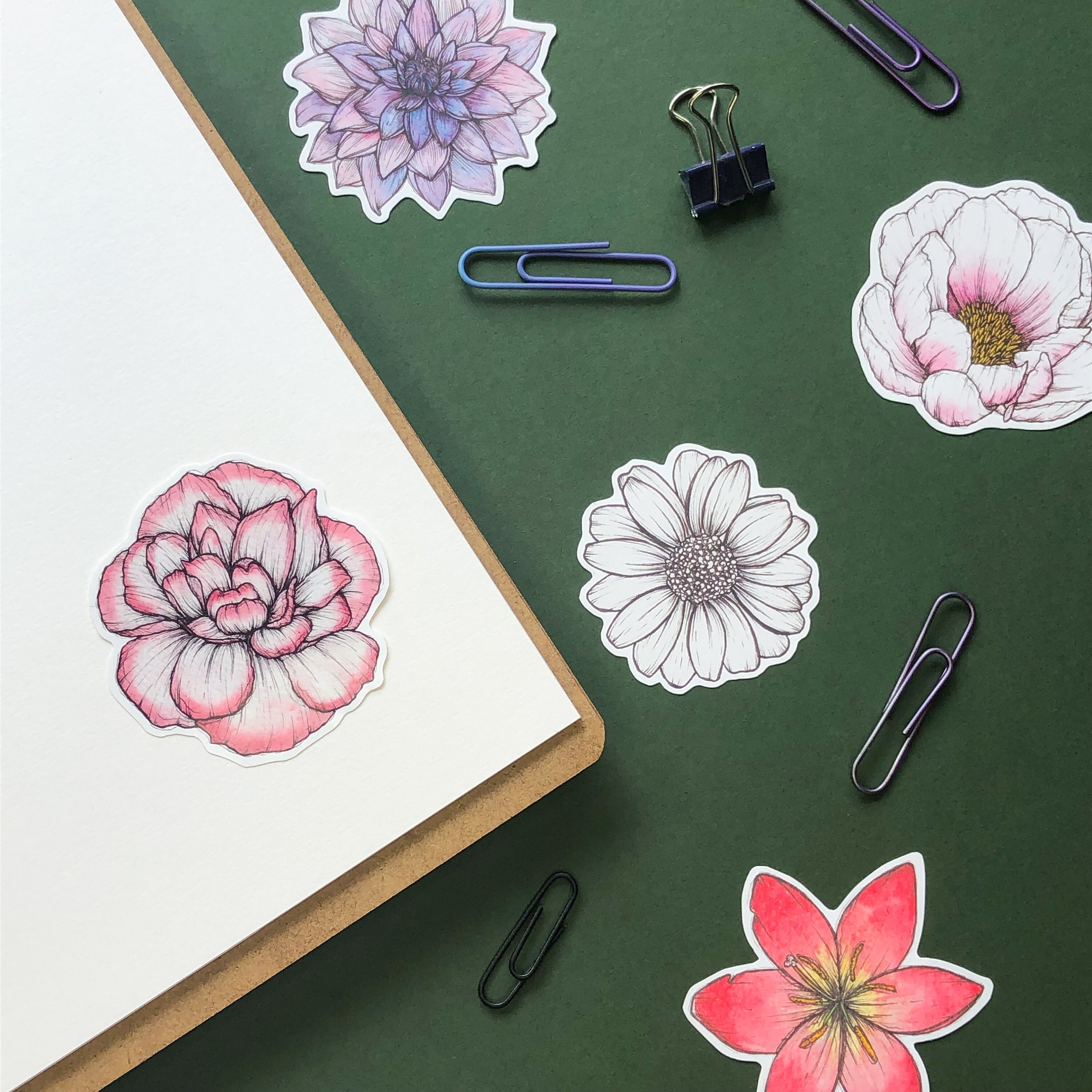 Carnation Flower Sticker Eco Friendly Matte Vinyl Glossy Botanical ...