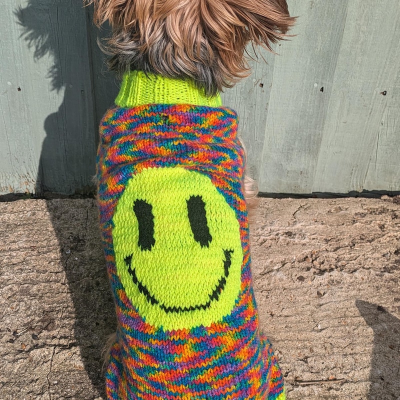 Face Harness - Etsy