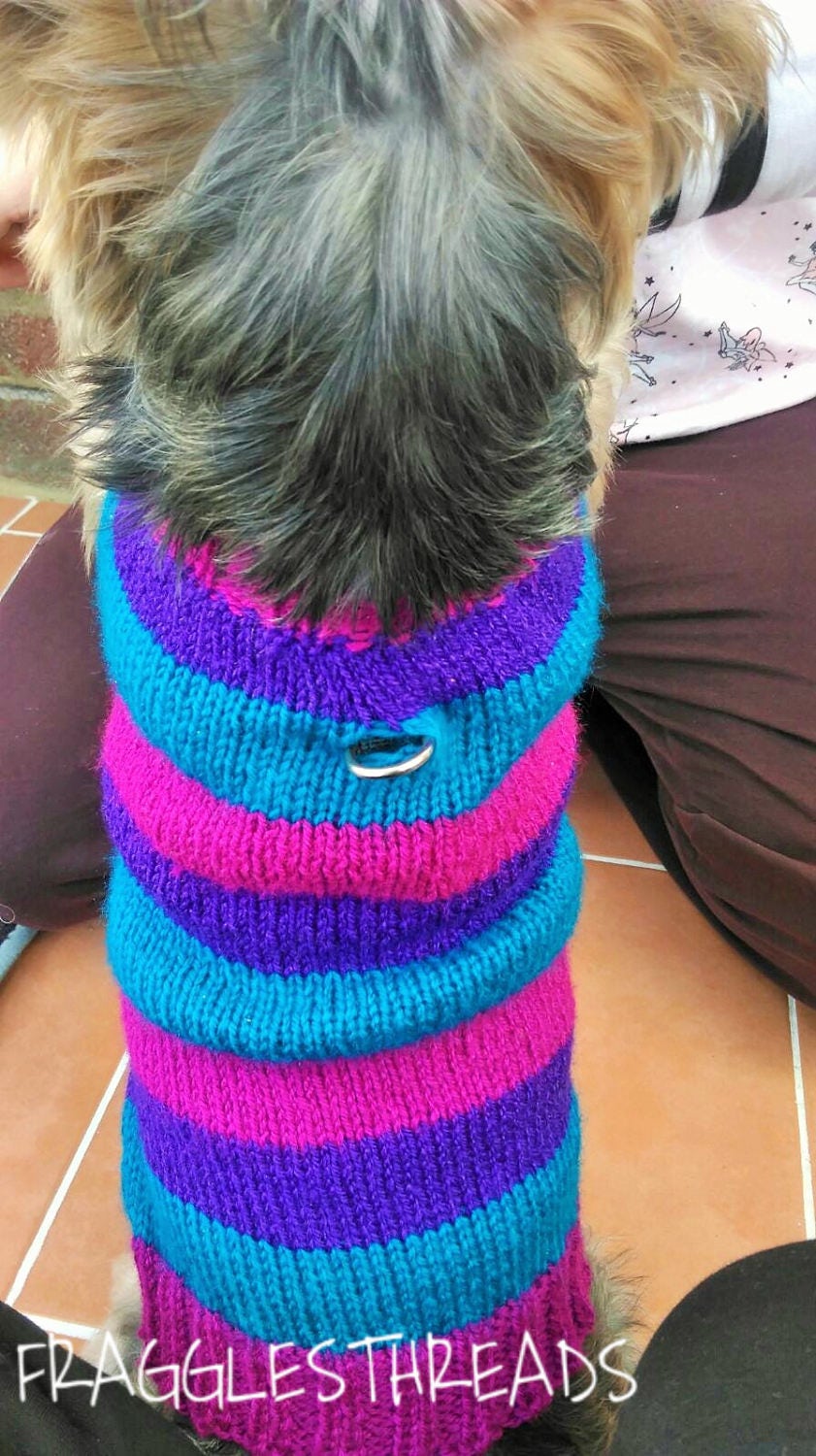 Create Your Own Dog Jumper. Over 30 Colours to Choose From! XS-XXL ...